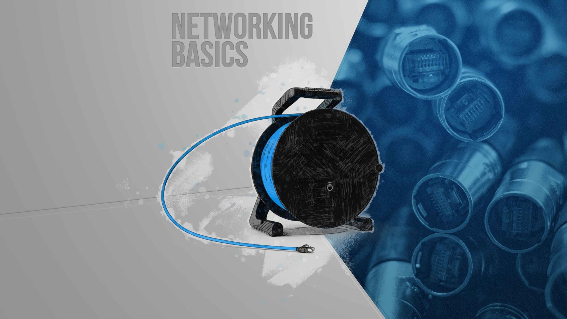 Networking Basics – The Evolve Academy